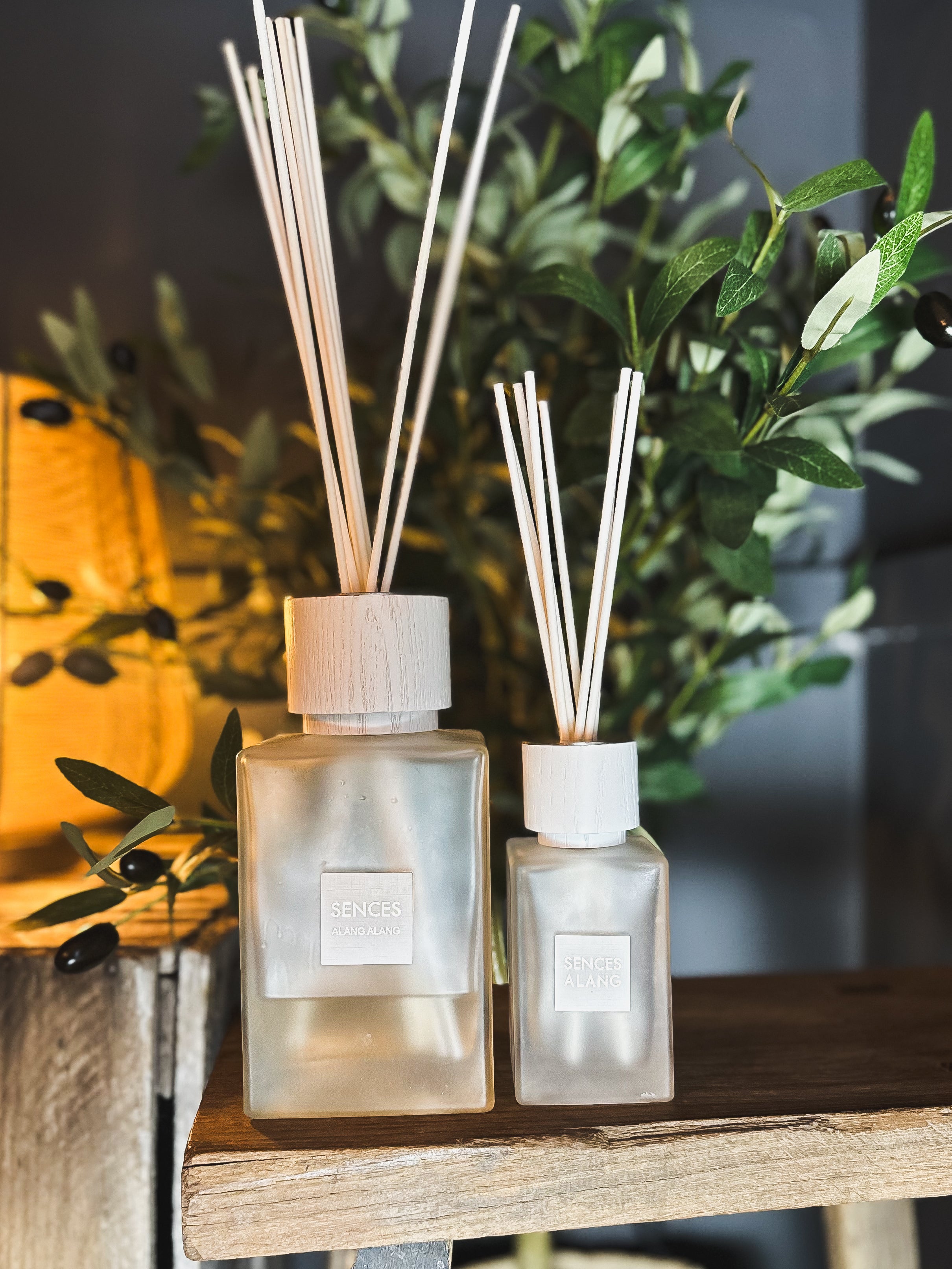 Small White Alang Alang Diffuser – Zoohause