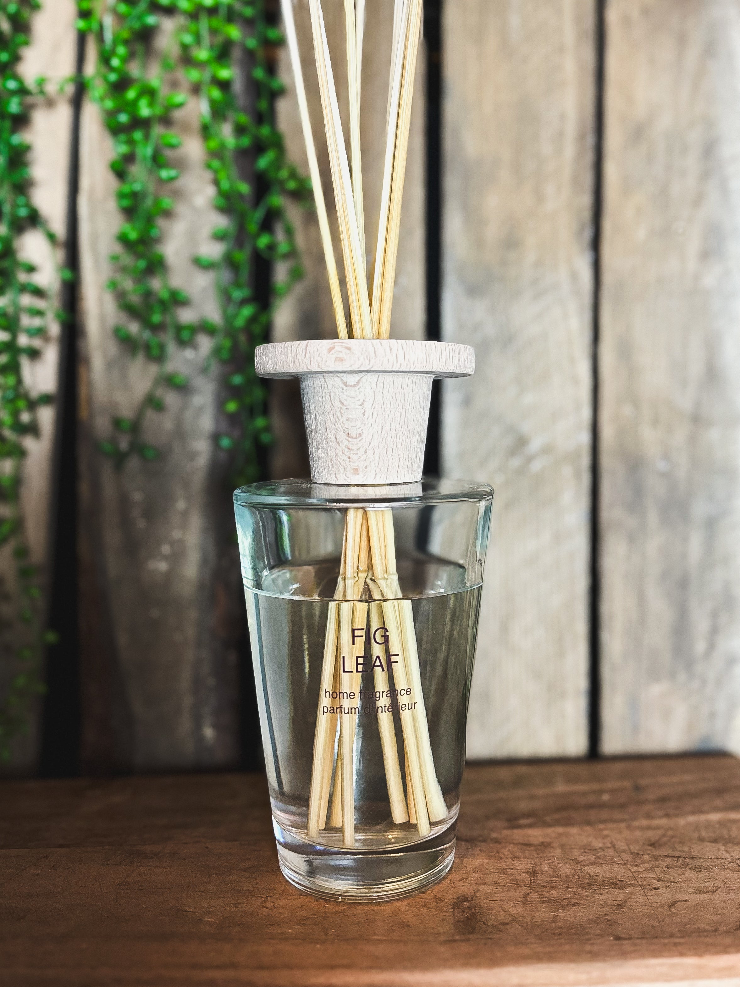 Fig Leaf Diffuser – Zoohause