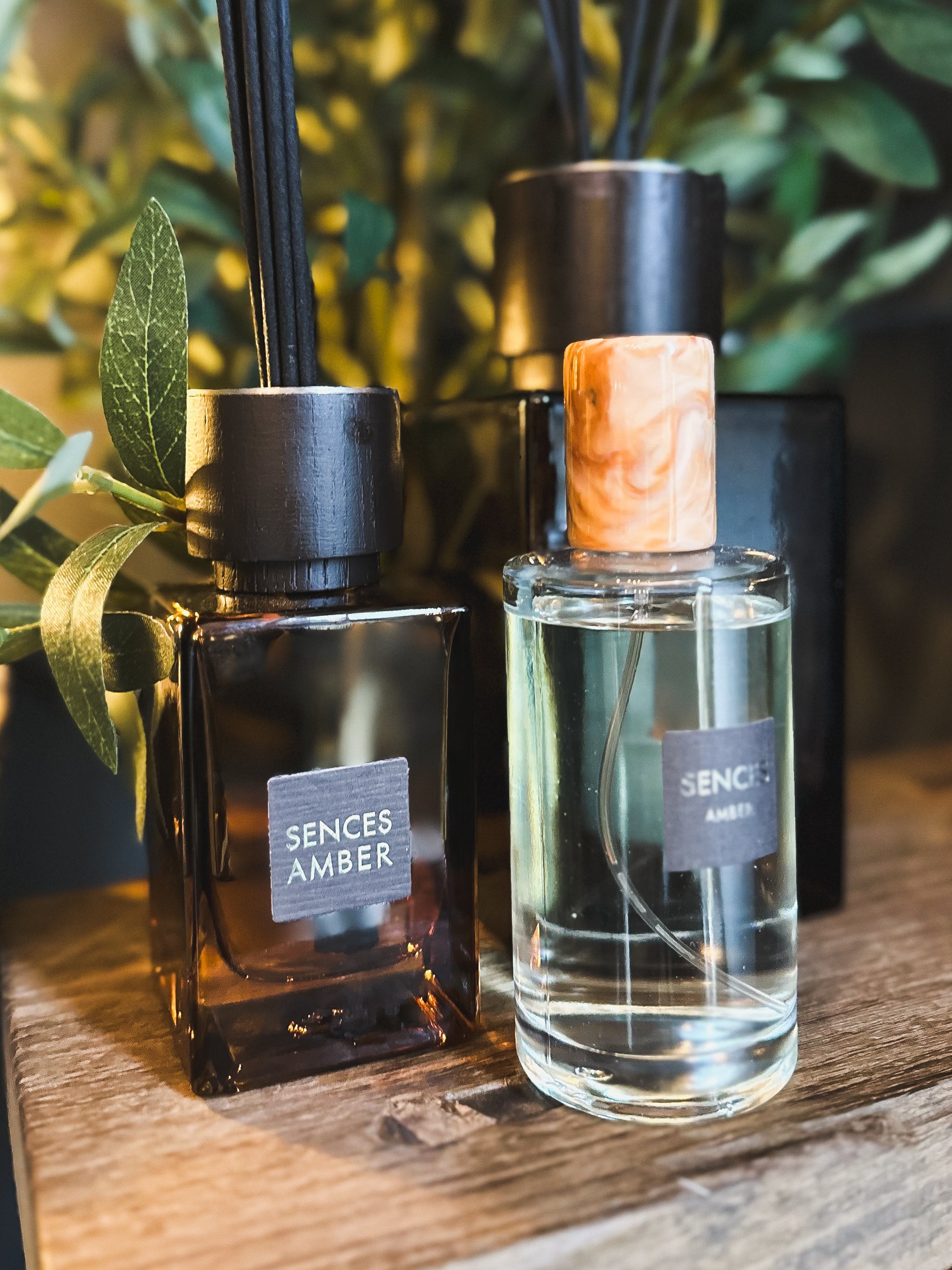 Mini Amber Alang Diffuser – Zoohause