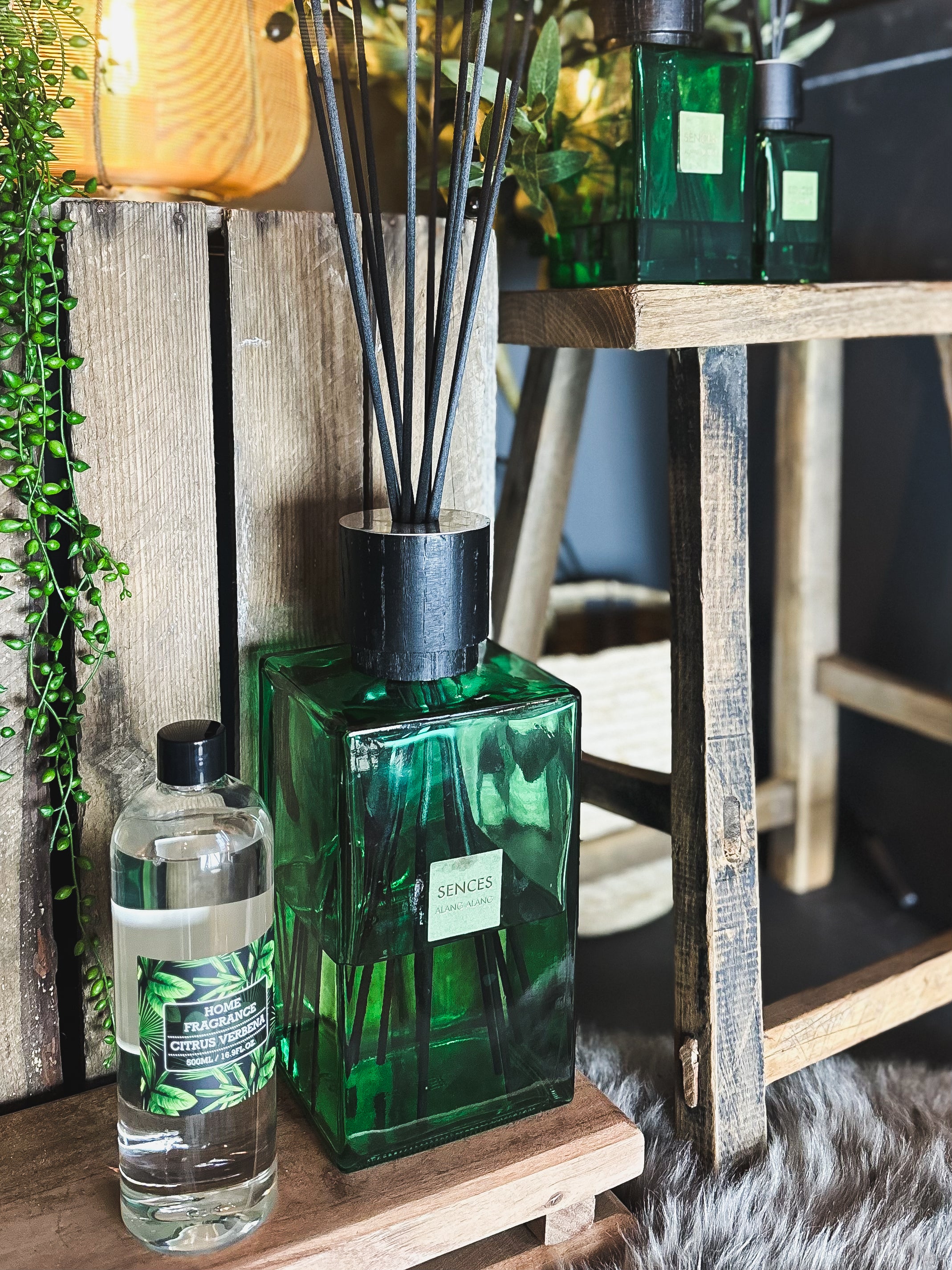 XL Citrus Verbena Alang Alang Diffuser – Zoohause