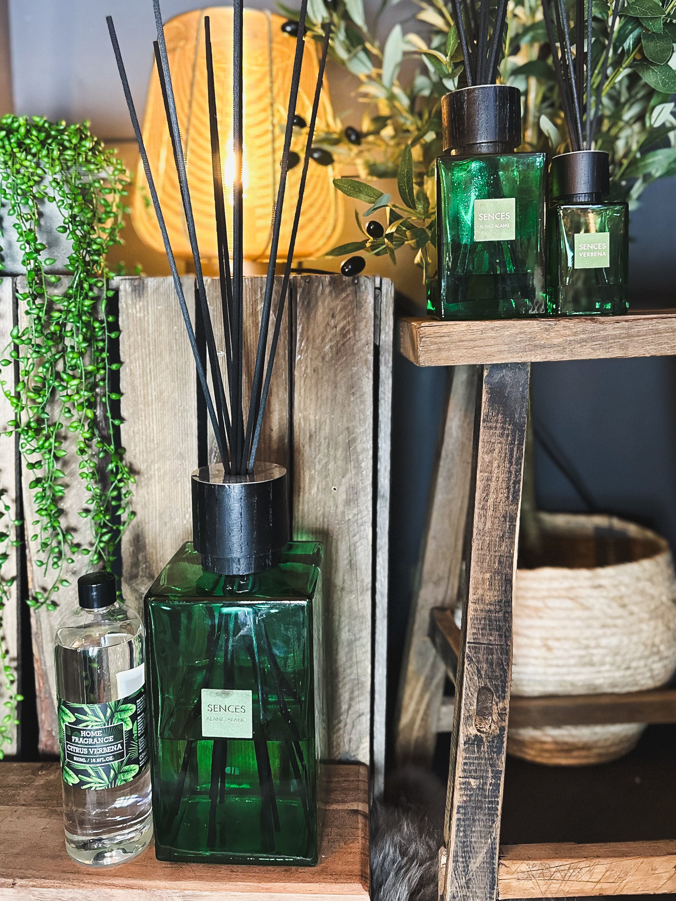 Small Citrus Verbena Alang Alang Diffuser – Zoohause