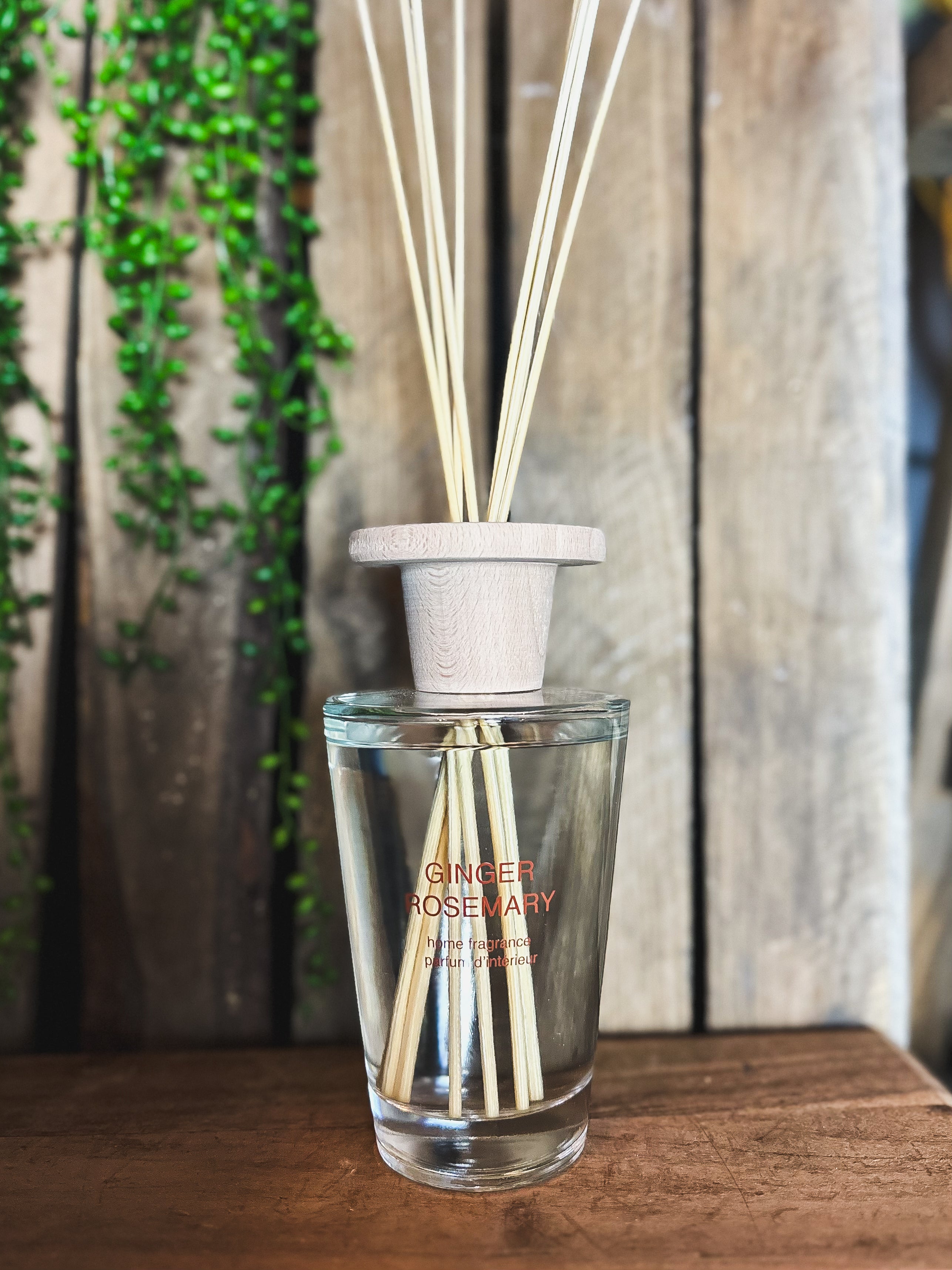 Ginger Rosemary Diffuser – Zoohause