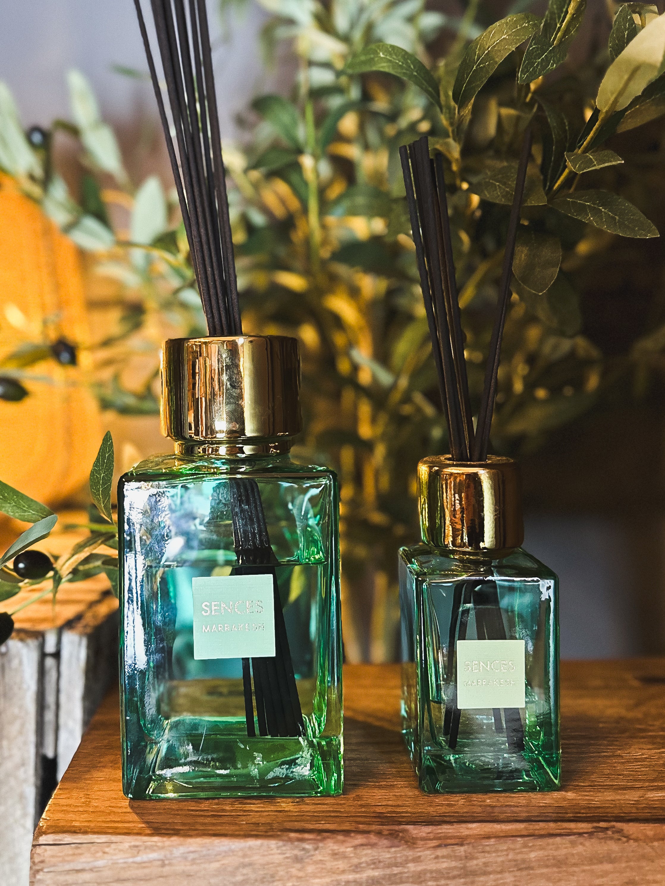 Mini Marrakesh Sences Diffuser – Zoohause