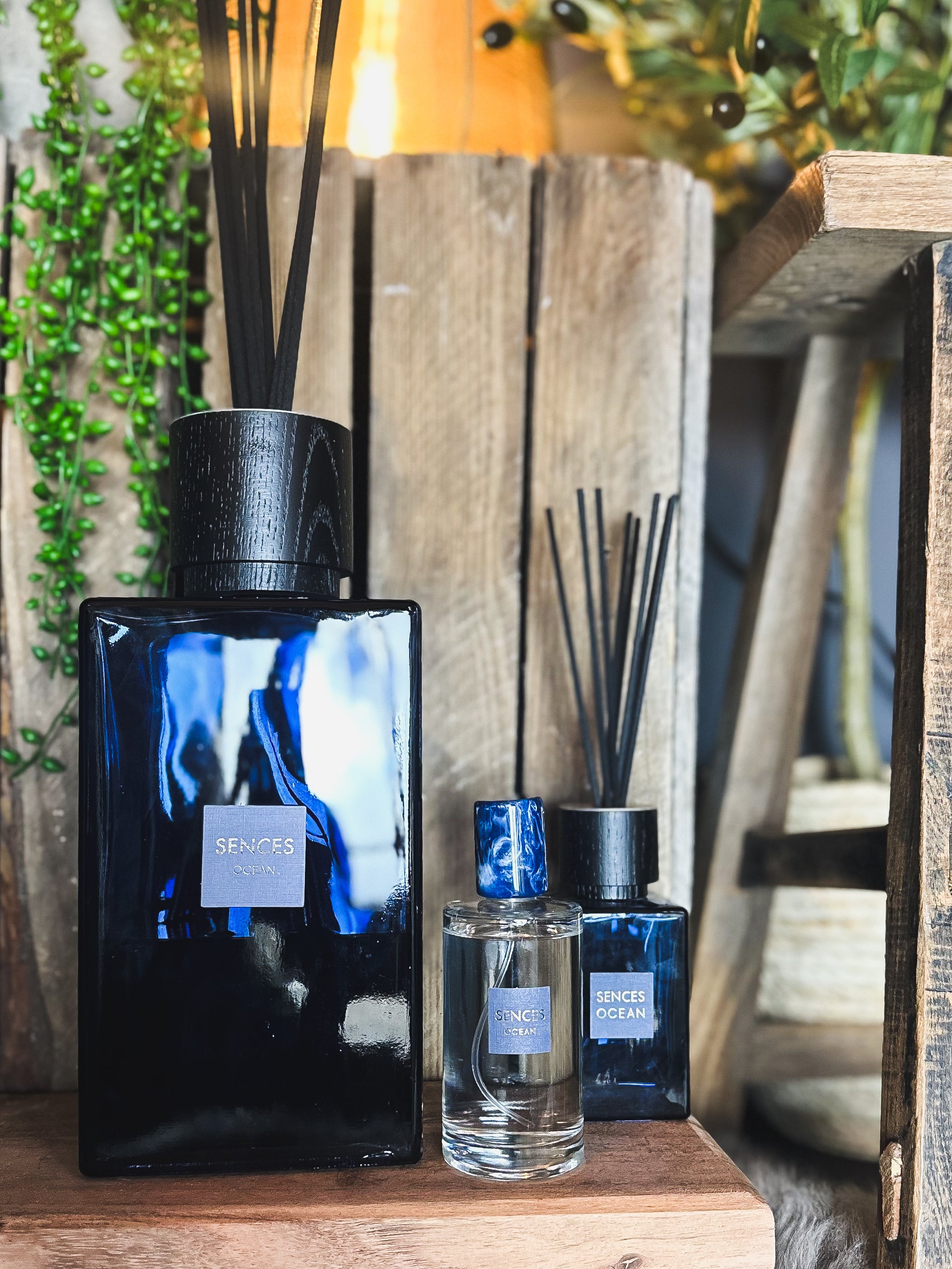 XL Ocean Sences Diffuser – Zoohause