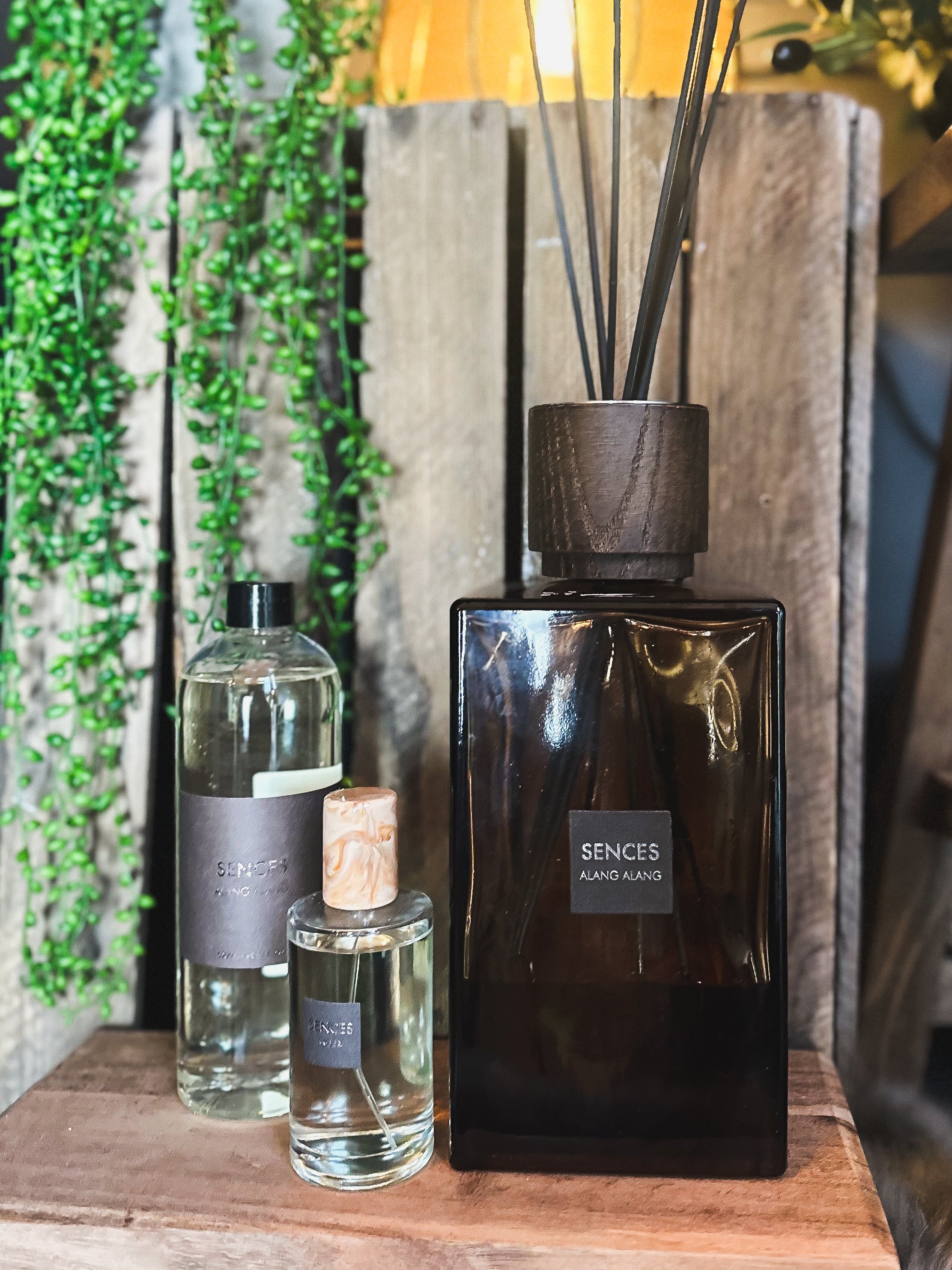 XL Amber Alang Alang Diffuser – Zoohause