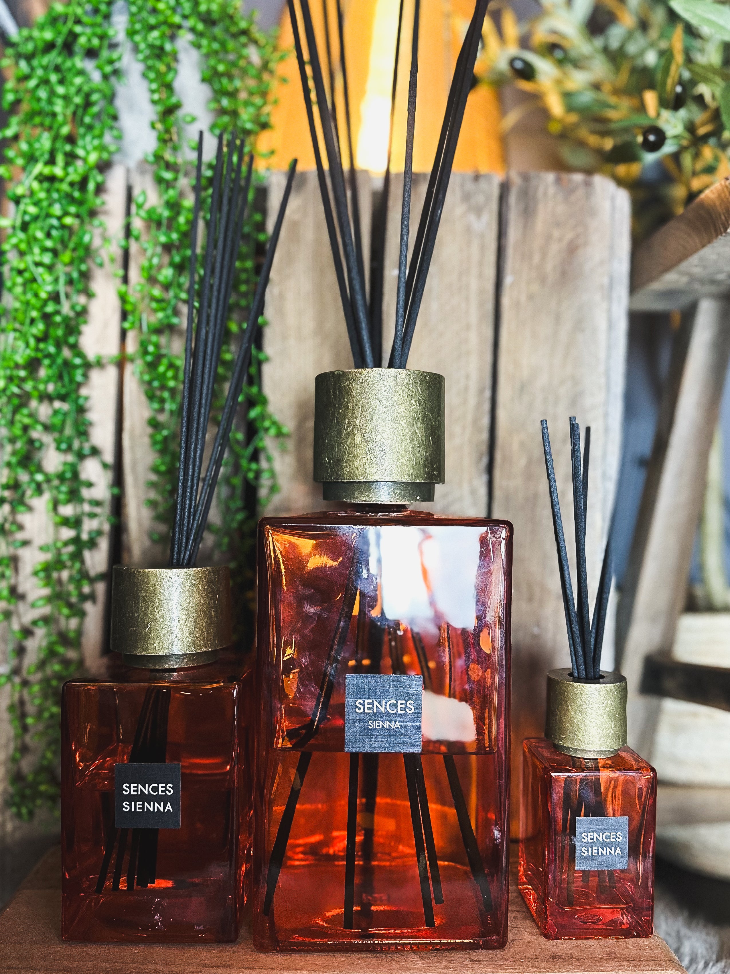 XL Sienna Sences Diffuser – Zoohause