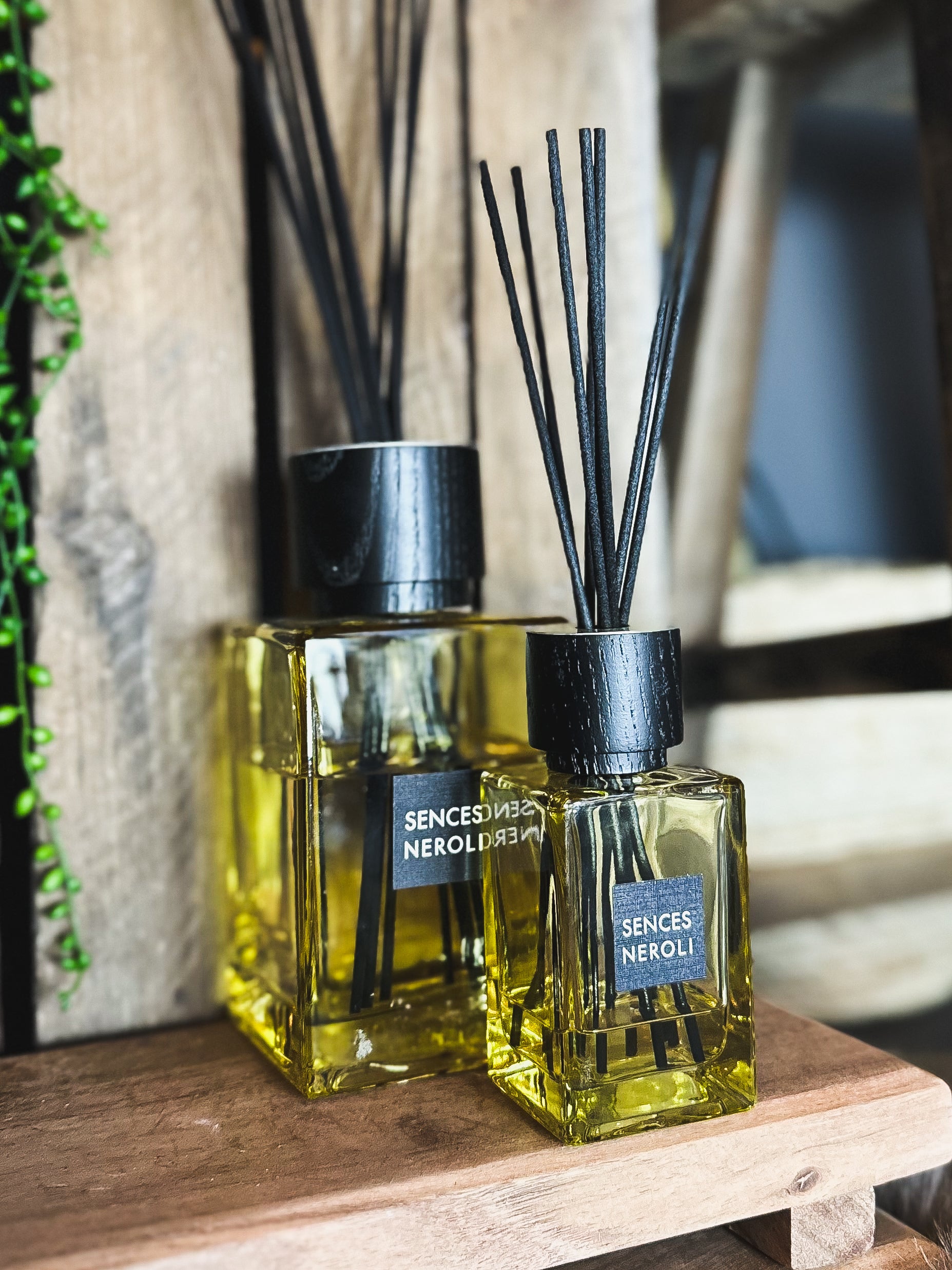 Mini Neroli Sences Diffuser – Zoohause