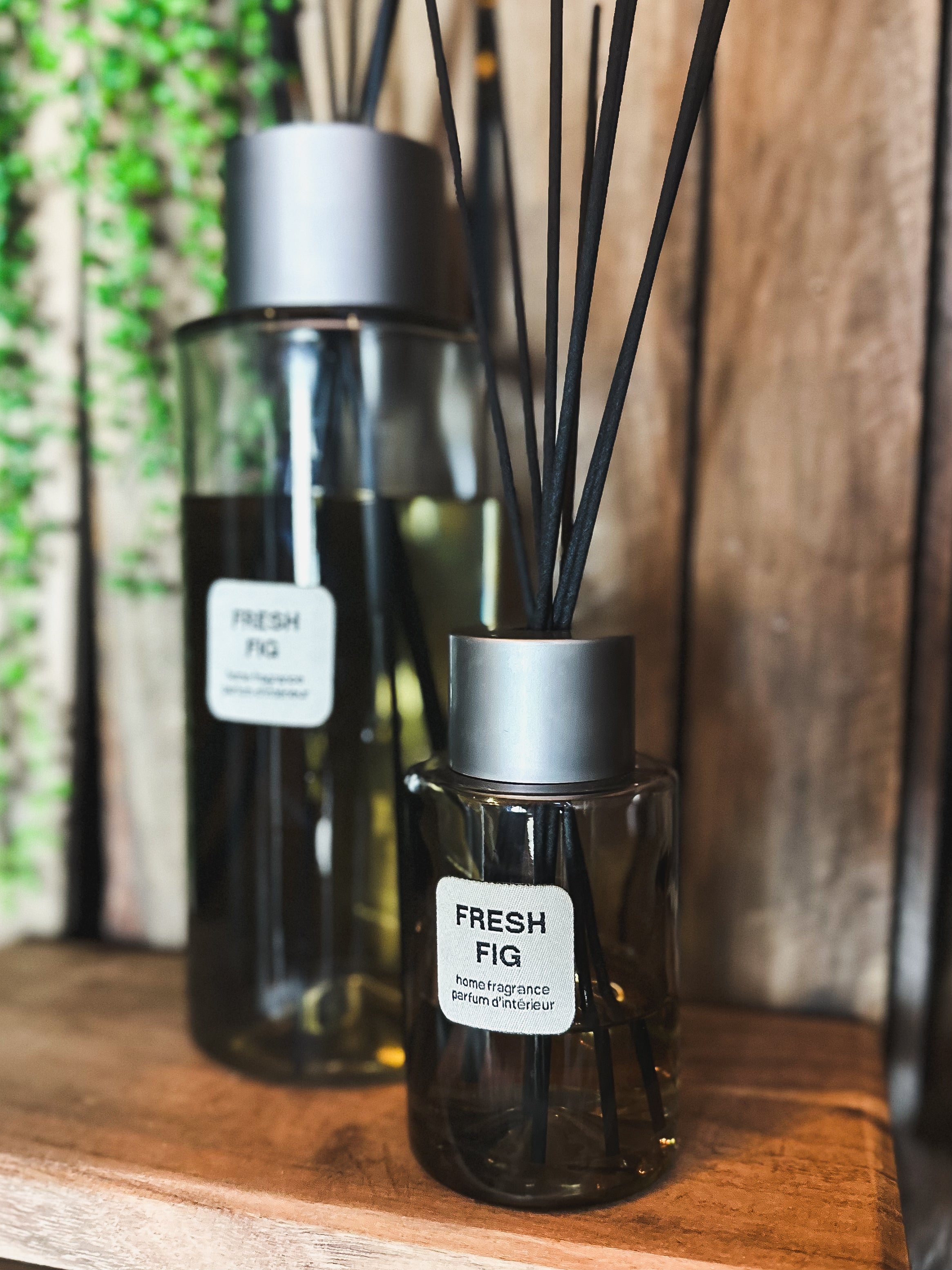 Small Fresh Fig Diffuser – Zoohause